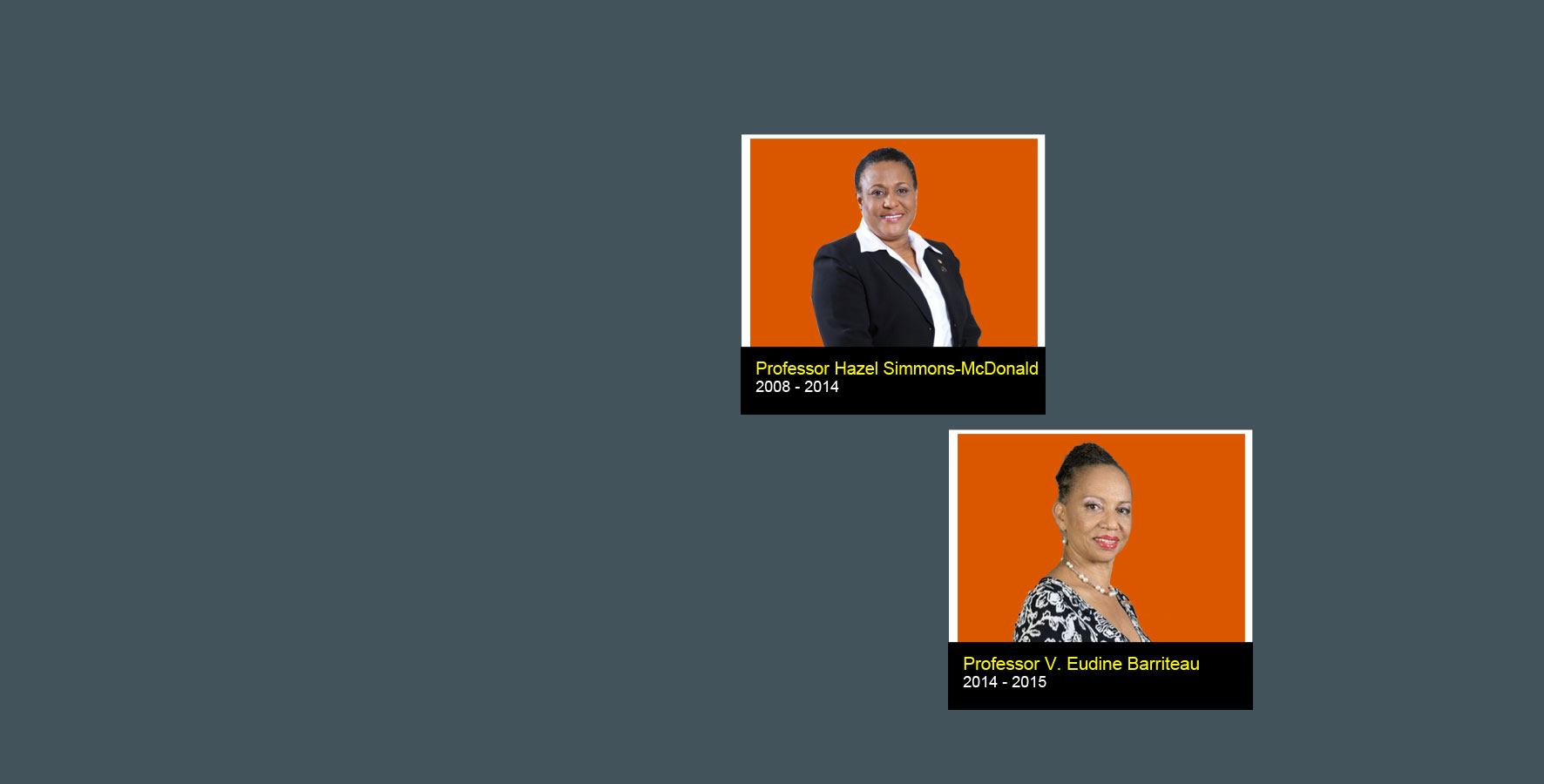 Pro Vice-Chancellor and Principal of The UWI Open Campus